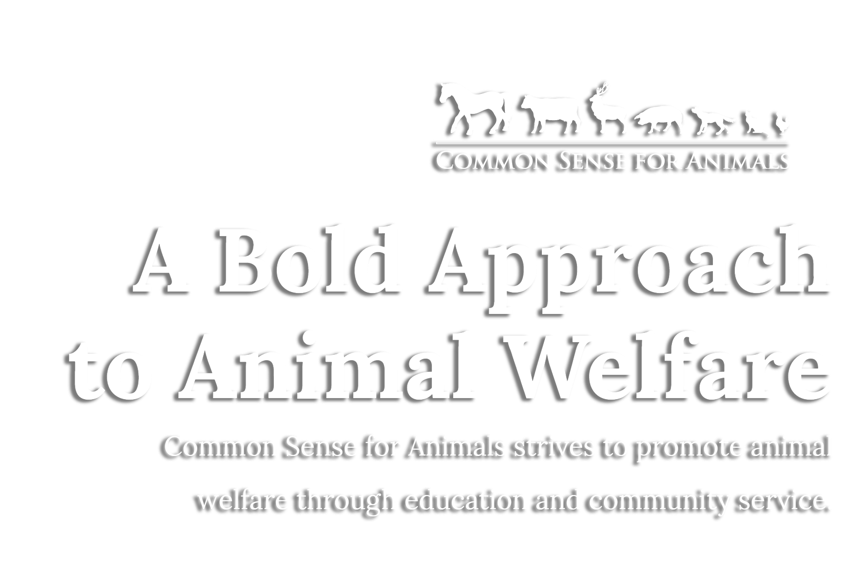 Home - Common Sense for Animals