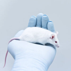 About Us - Common Sense for Animals